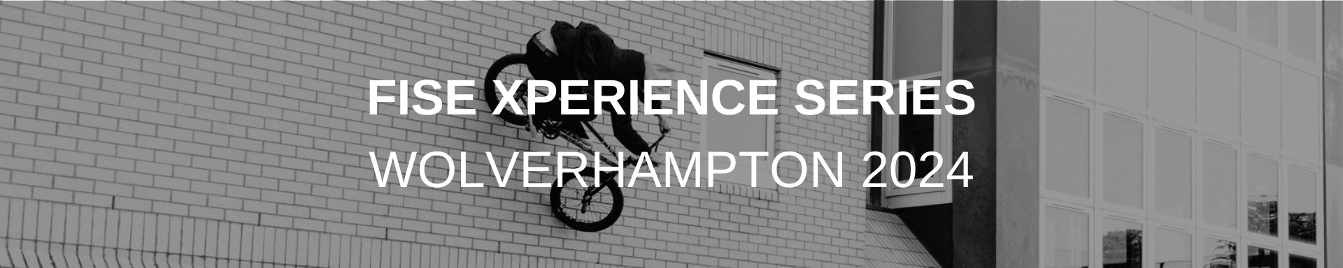 FISE XPERIENCE SERIES 2024 – Newsroom Fise